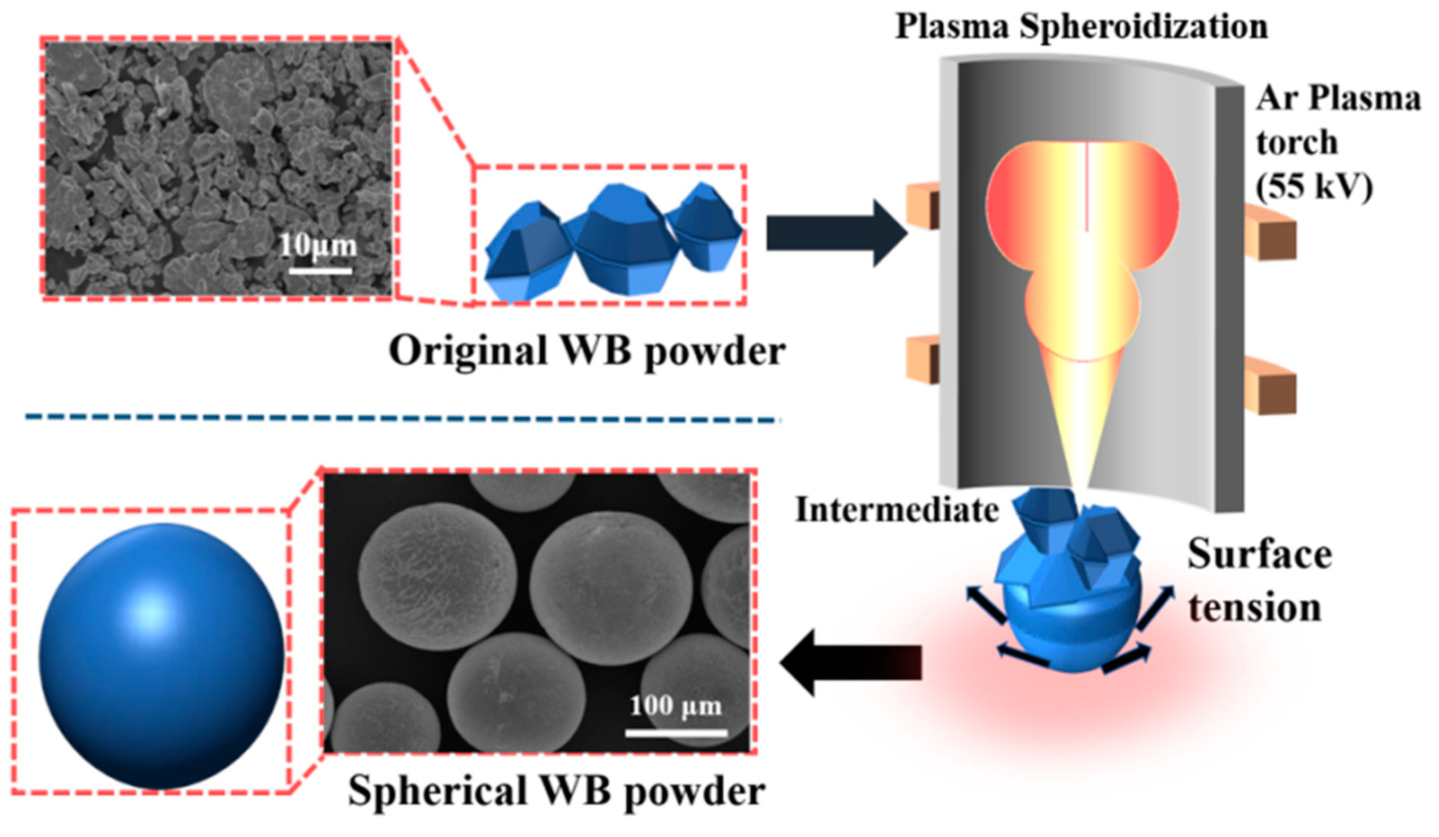 Tribological Properties Laser-Cladded Spherical WB-Reinforced Co-Based ...