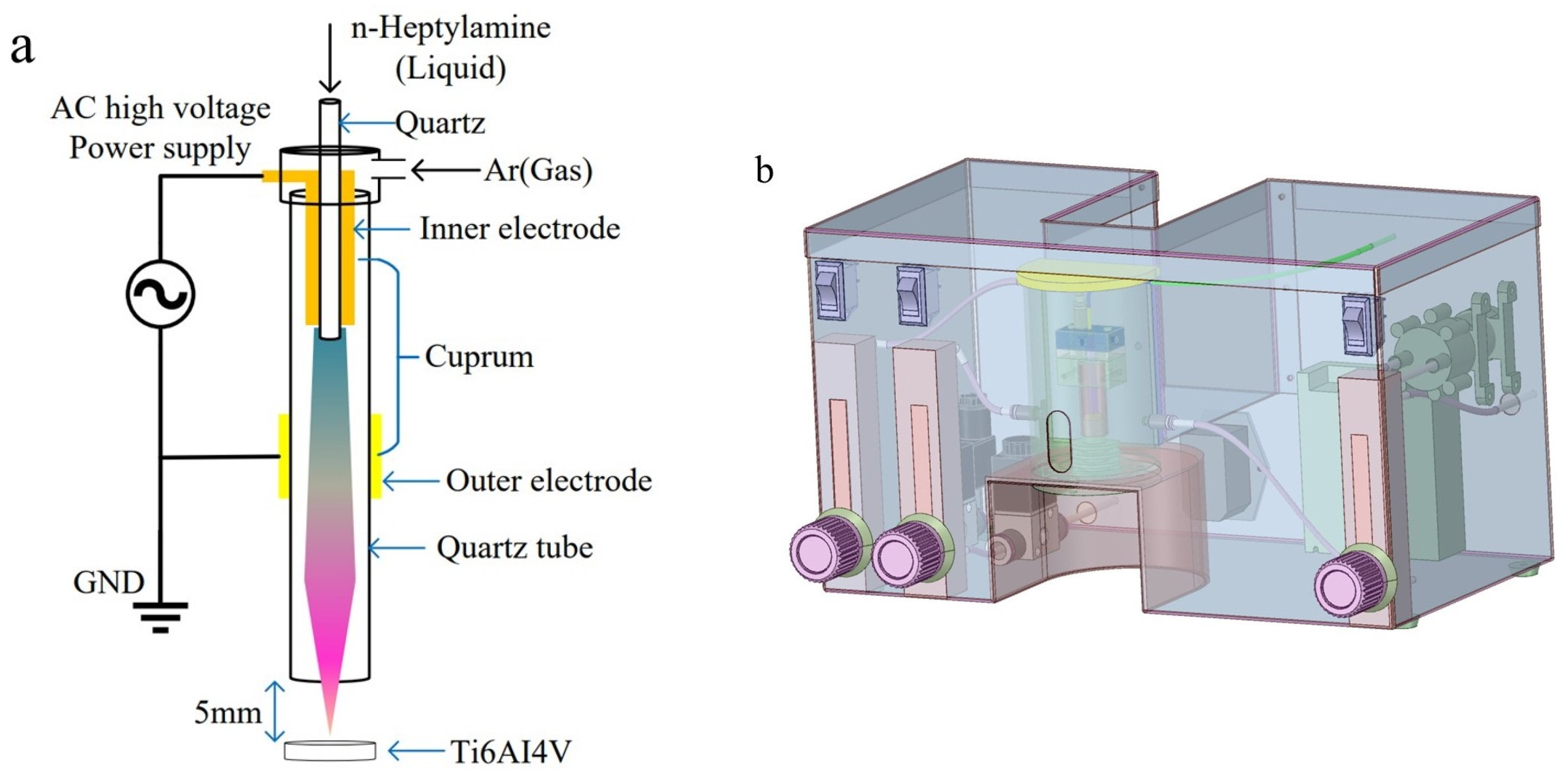 The Cell Adhesion and Proliferation Enhancement Impact of Low ...