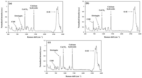 Evaluation of the Solidification of Radioactive Wastes Using Blast ...