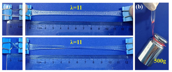 Fully Physically Crosslinked Conductive Hydrogel with ...