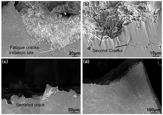 Microstructure, Mechanical Properties and Fatigue Crack Growth Behavior ...