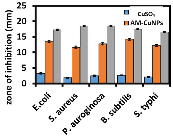Biological Synthesis of Copper Nanoparticles Using Edible Plant Allium ...