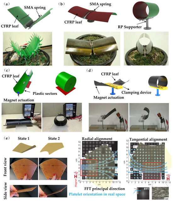 Biomimetic Venus Flytrap Structures Using Smart Composites: A Review