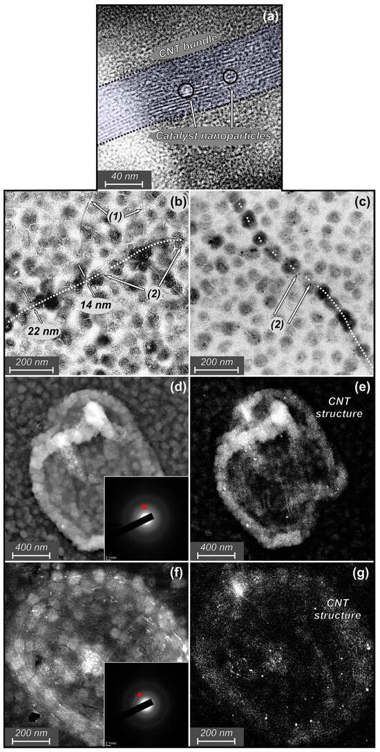 Integration of Carbon Nanotubes in an HFCVD Diamond Synthesis Process ...