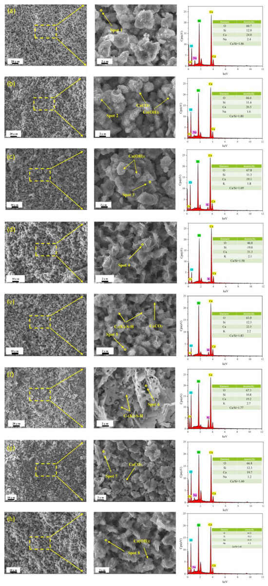Enhancement of Hydration Activity and Microstructure Analysis of γ-C2S