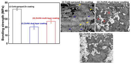 Microstructure and Corrosion Behavior of Zinc/Hydroxyapatite Multi ...
