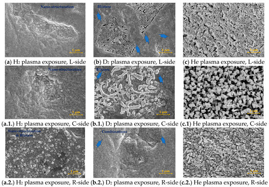 Tungsten Material Behavior under H2, D2, and He Plasma Interaction ...