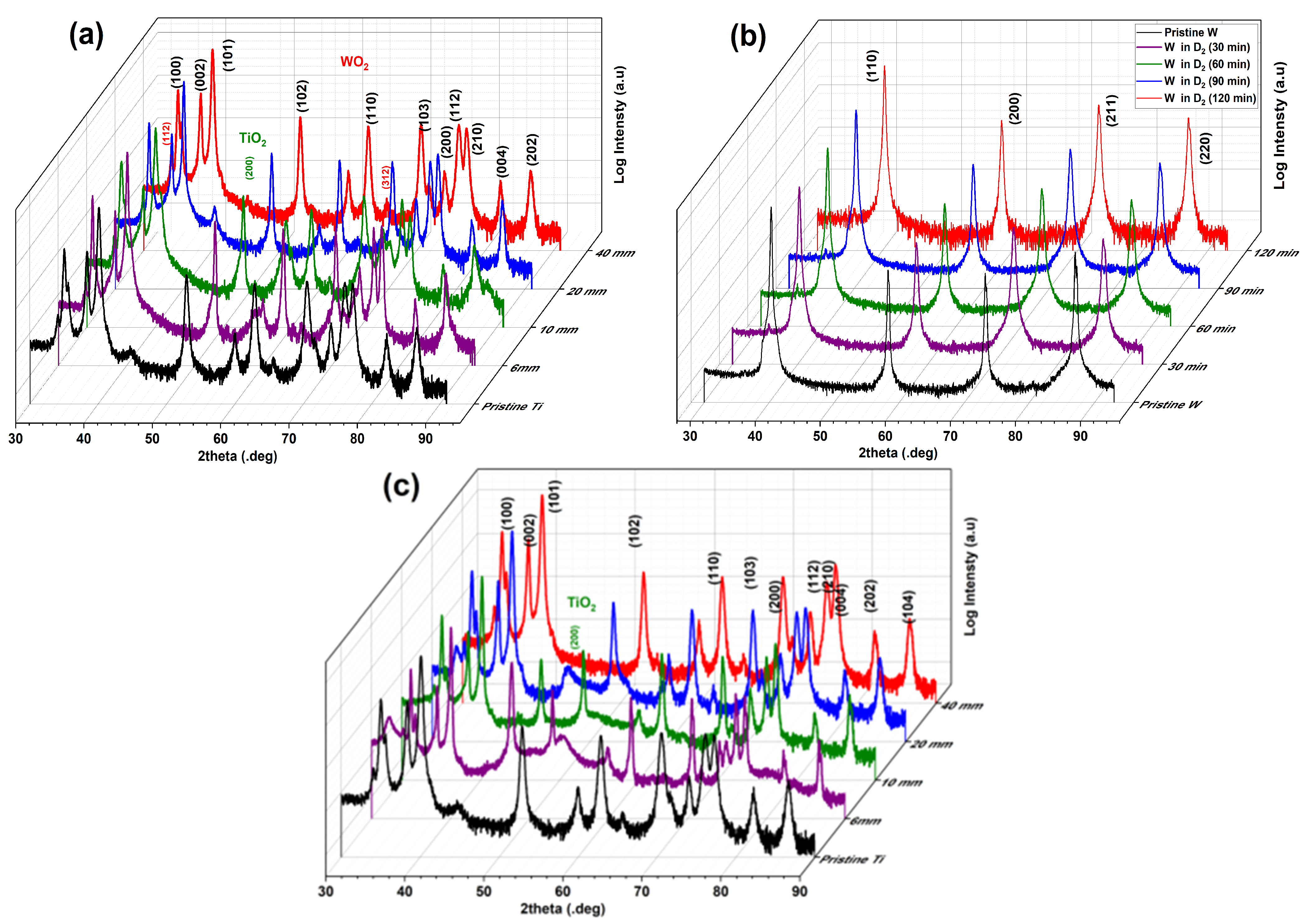 Tungsten Material Behavior under H2, D2, and He Plasma Interaction ...