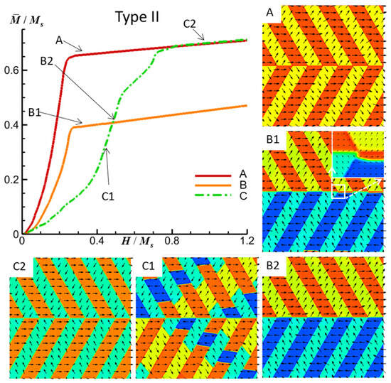 Nanostructure Effect on Magnetization Processes in FePt Polytwin Crystals