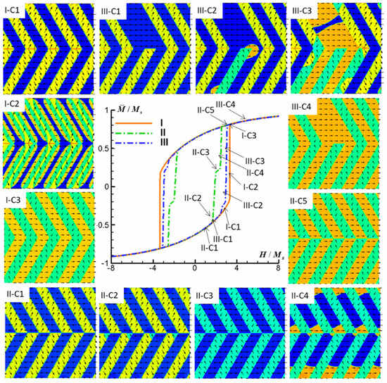 Nanostructure Effect on Magnetization Processes in FePt Polytwin Crystals