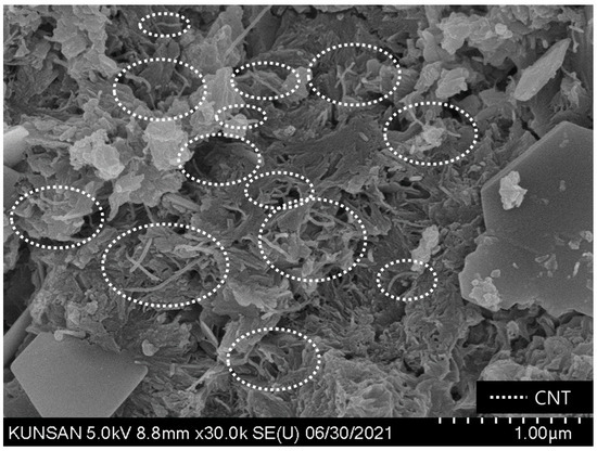 Effect of Dispersing Carbon Nanotube in Aqueous Solution by Poly ...
