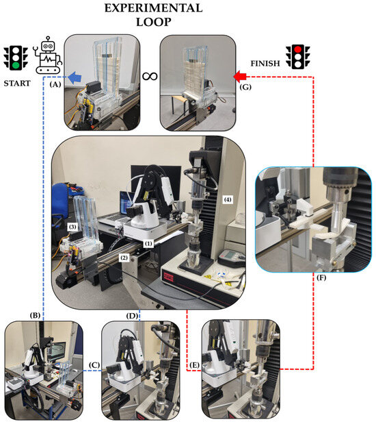 Robotization of Three-Point Bending Mechanical Tests Using PLA/TPU ...