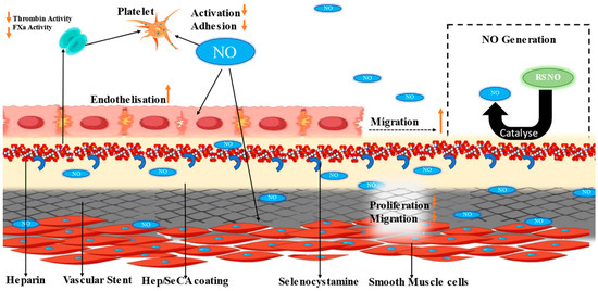 Surface Engineering of Bioactive Coatings for Improved Stent ...