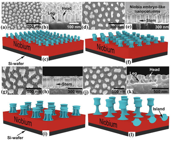 Polymorphs of Nb2O5 Compound and Their Electrical Energy Storage ...