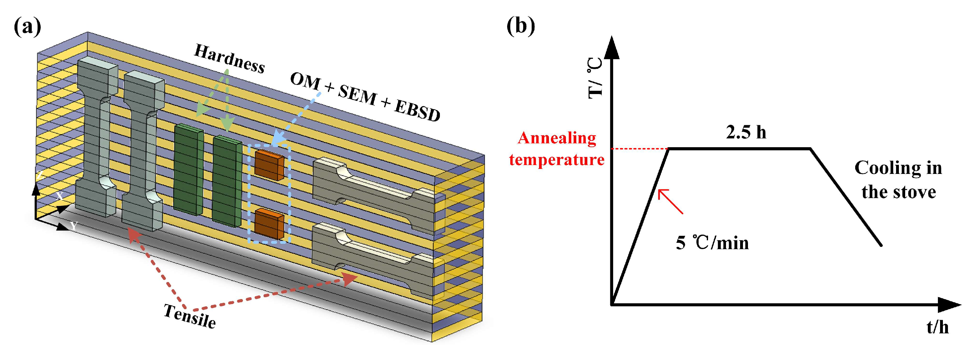 Enhancing Mechanical Properties: Exploring the Effect of Annealing Temperature on Wire Arc ...
