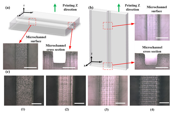 3D Printing of Individualized Microfluidic Chips with DLP-Based Printer