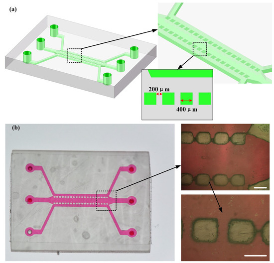 Materials | Free Full-Text | 3D Printing of Individualized Microfluidic Chips with DLP-Based Printer
