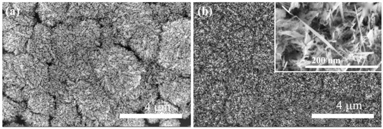 Nano-Needle Boron-Doped Diamond Film with High Electrochemical ...