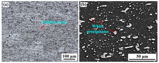 Microstructure Evolution and Mechanical Properties of Thick 2219 ...