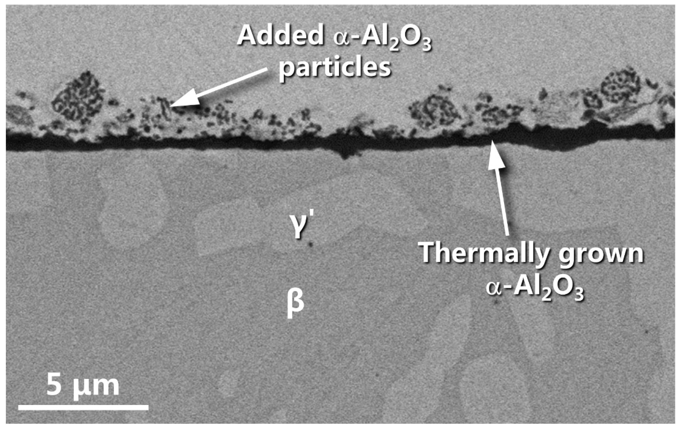 Integrated Laser Additive Manufacturing of α-Al2O3 Nanoparticle-Seeded β/γ’ Ni-Al Intermetallic ...
