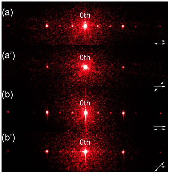 Dual-Period Polarization-Dependent Diffraction Gratings Based on a ...