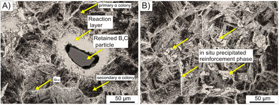 Microstructure and Mechanical Properties of In Situ Synthesized ...