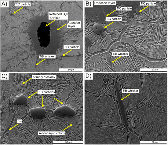 Microstructure and Mechanical Properties of In Situ Synthesized ...