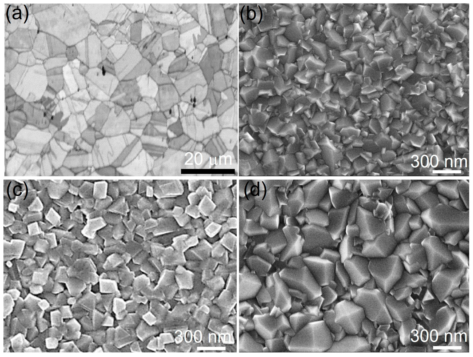 Materials | Free Full-Text | Enhanced Anti-Corrosion Performance of Co-Cr-Mo Alloy in Molten Al ...