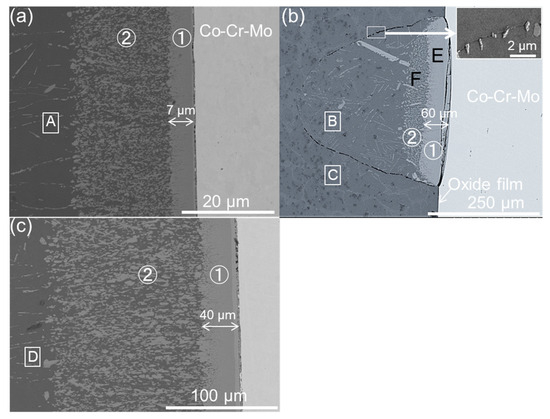 Materials | Free Full-Text | Enhanced Anti-Corrosion Performance of Co-Cr-Mo Alloy in Molten Al ...