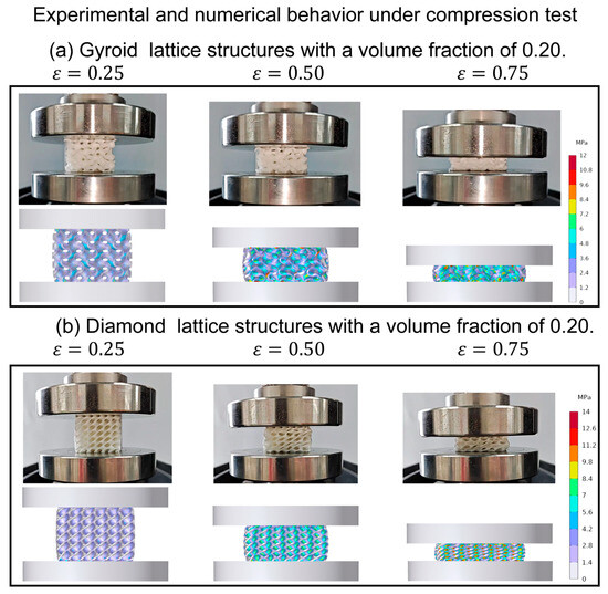 The Laser Selective Sintering Controlled Forming of Flexible TPMS ...