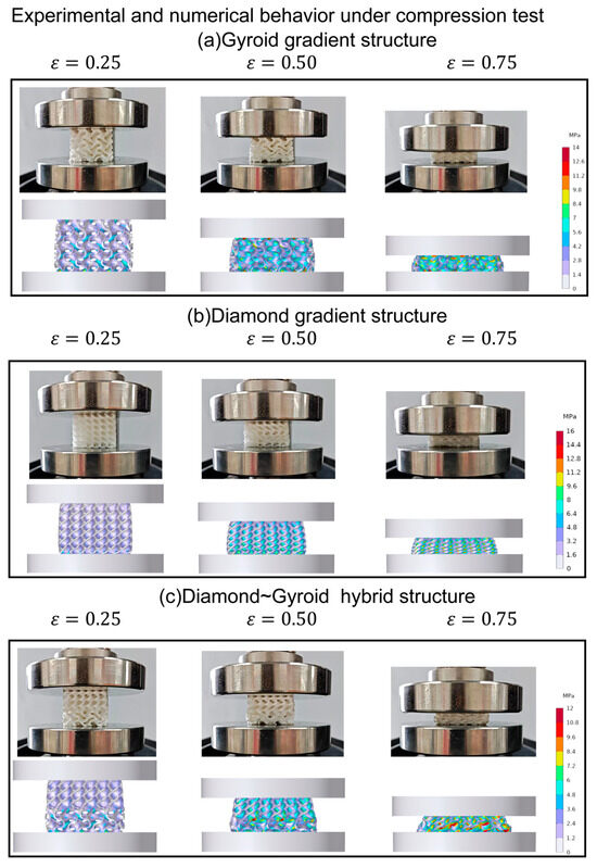 The Laser Selective Sintering Controlled Forming of Flexible TPMS ...