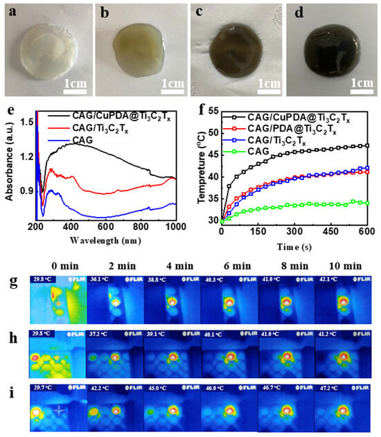 A Synergistic Antibacterial Study of Copper-Doped Polydopamine on ...