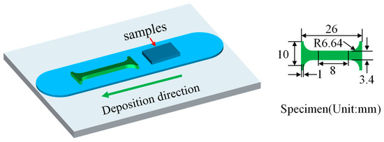 Effect of Heat Treatment States of Feedstock on the Microstructure and ...