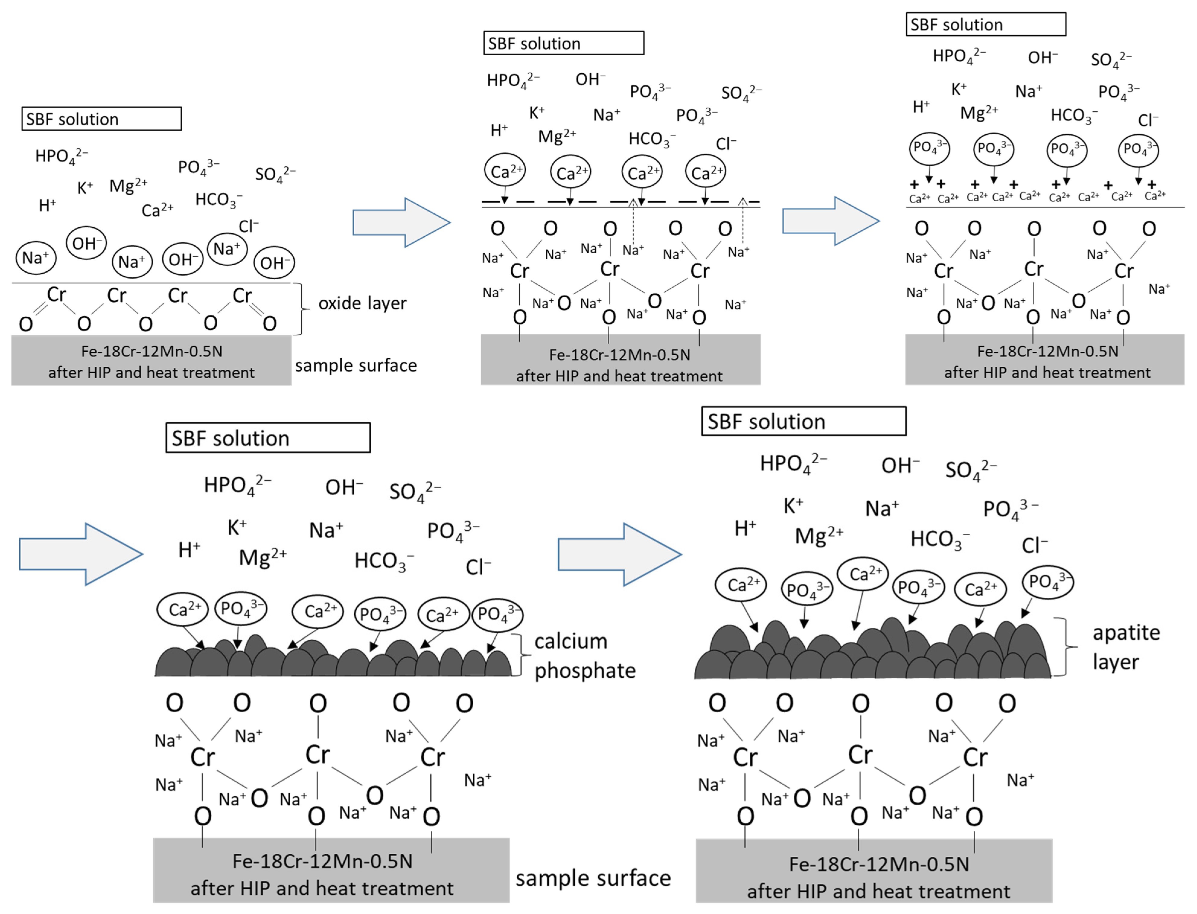 Bioactivity, Cytotoxicity, and Tribological Studies of Nickel-Free ...