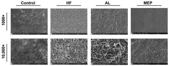 Adhesive Performance of Resin Cement to Glass-Ceramic and Polymer-Based ...