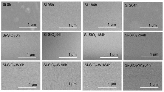 Estimation of Thermal Stability of Si-SiO2-W Nanolayered Structures with Infrared Spectrometry