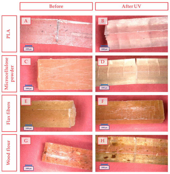 Aging Process of Biocomposites with the PLA Matrix Modified with ...