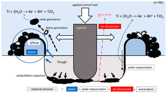 Tribocorrosion and Surface Protection Technology of Titanium Alloys: A ...