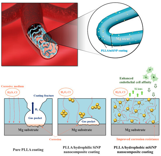 Development and Future Trends of Protective Strategies for Magnesium ...