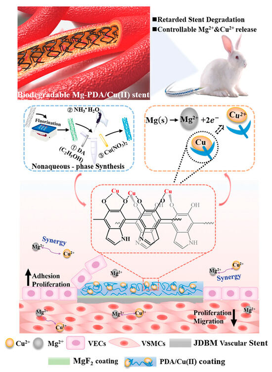 Development and Future Trends of Protective Strategies for Magnesium ...