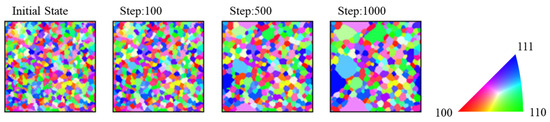 Simulation Of Abnormal Grain Growth Using The Cellular Automaton Method
