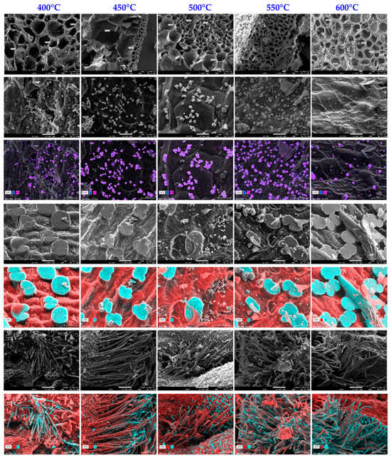 Unveiling the Potential of Corn Cob Biochar: Analysis of Microstructure ...