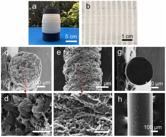 A Review of the Preparation of Porous Fibers and Porous Parts by a ...