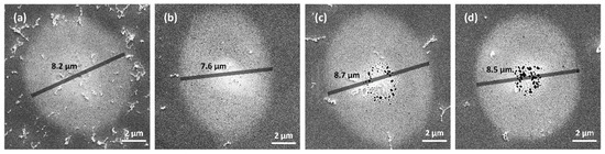 Atomistic-Continuum Study of an Ultrafast Melting Process Controlled by ...