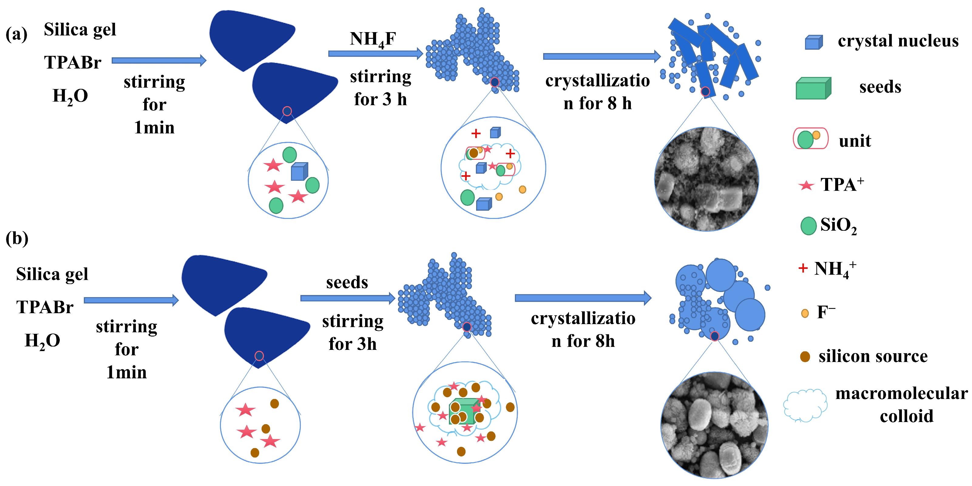 The Synergistic Impact of Crystal Seed and Fluoride Ion in the ...