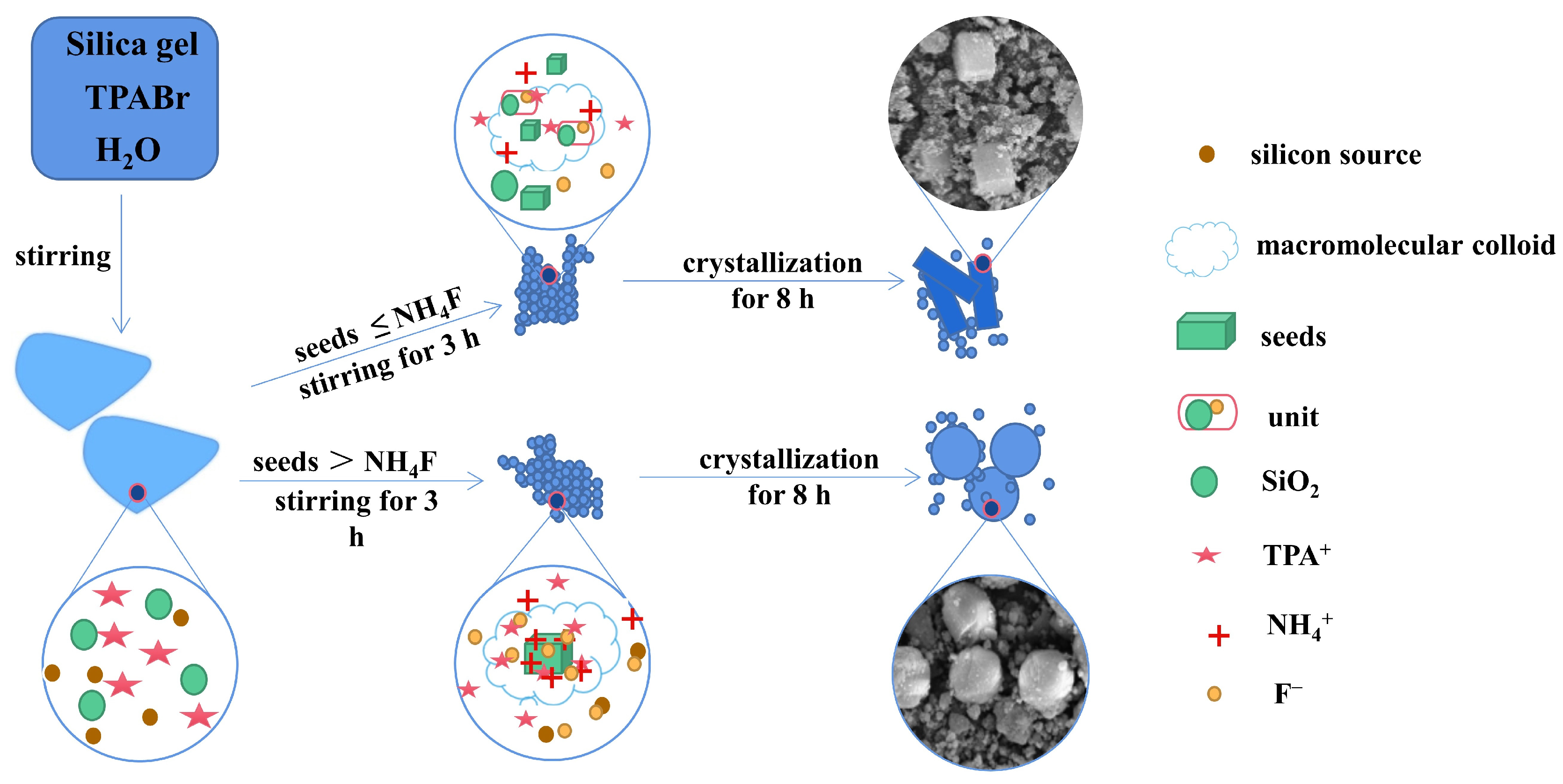 The Synergistic Impact of Crystal Seed and Fluoride Ion in the ...