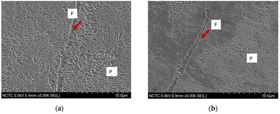 Comparative Fatigue Performance of Decarburized Surfaces in Railway Rails