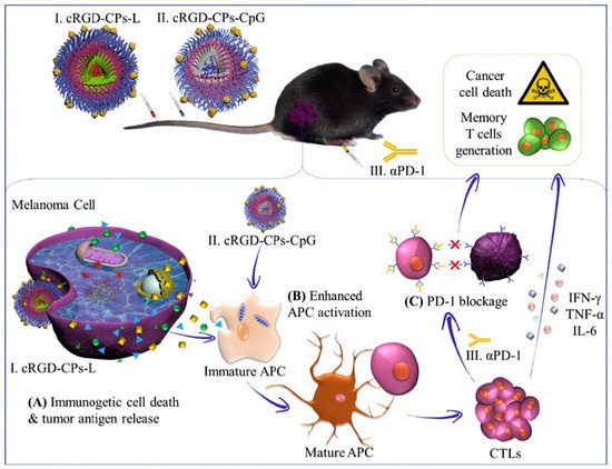 Polymersomes as the Next Attractive Generation of Drug Delivery Systems ...