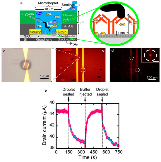 Challenges for Field-Effect-Transistor-Based Graphene Biosensors