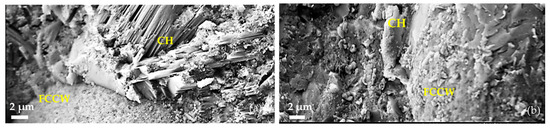 A Study on the Microstructure and Mechanical Properties of Portland ...